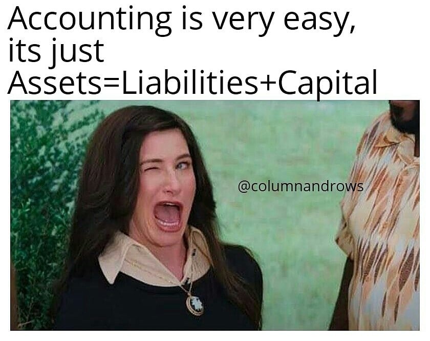 Best Balance Sheet memes on the internet - Accounting Heads